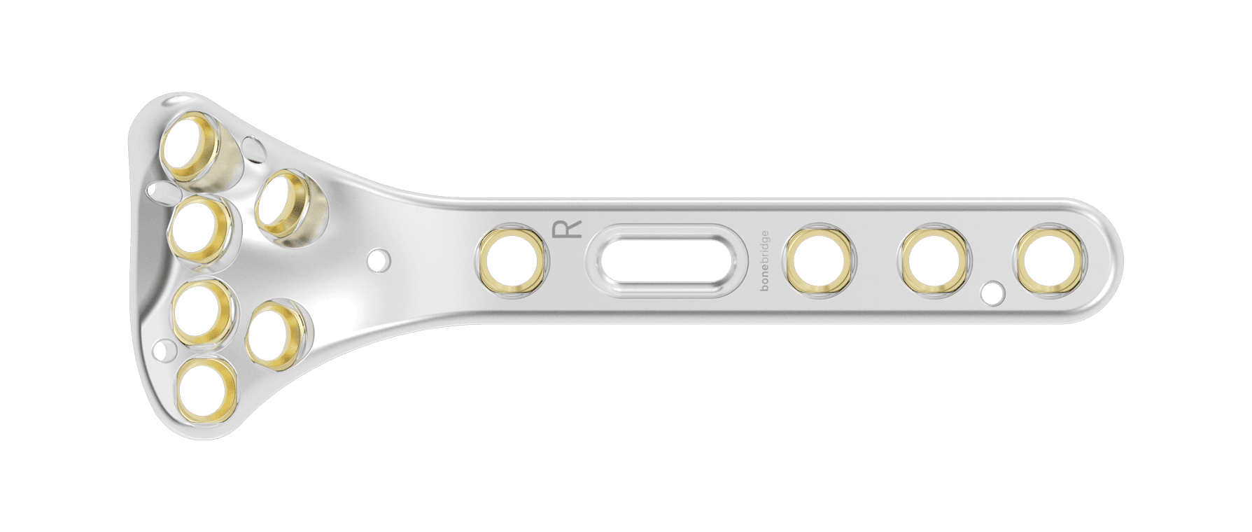 Bonebridge - SALGINA